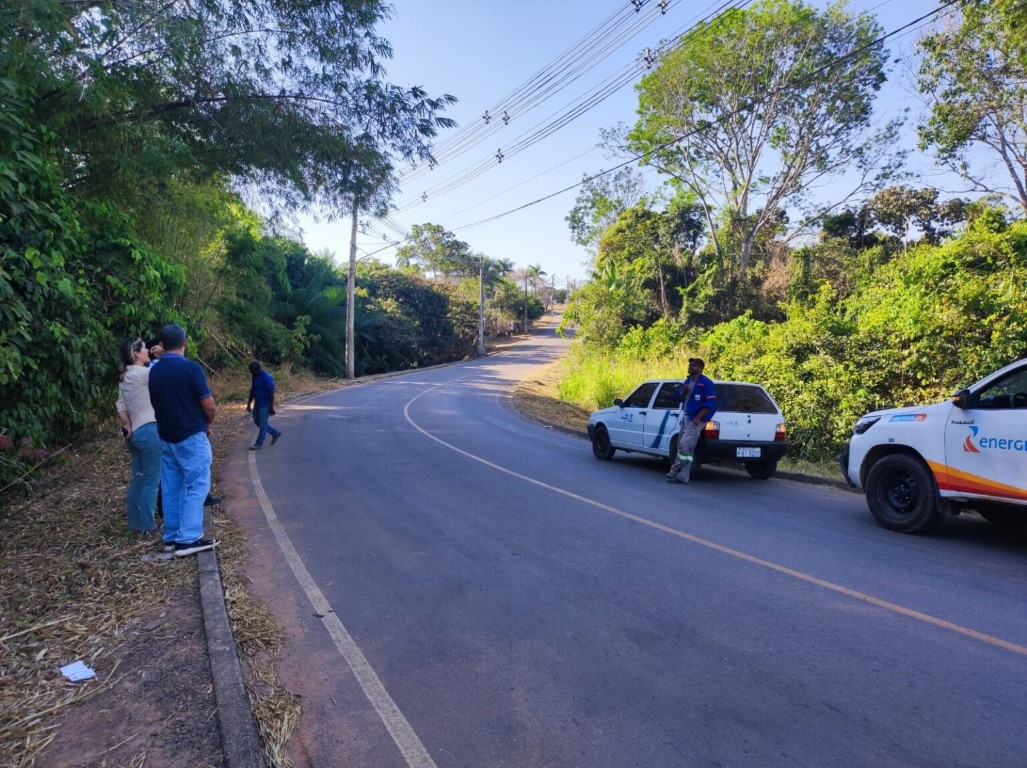 SETE PONTOS DA CIDADE: Vai começar instalação de pontes de dossel em ...