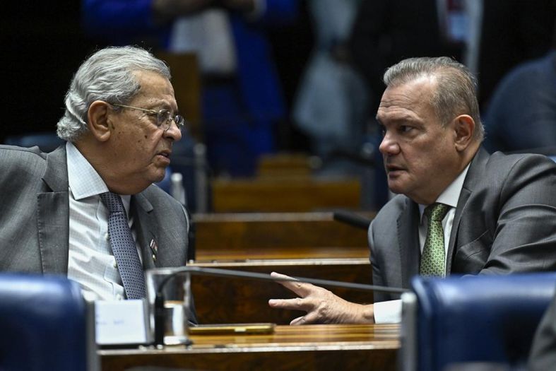 PEC NO SENADO: Deputada Érica Hilton aponta que Jayme e Wellington ...